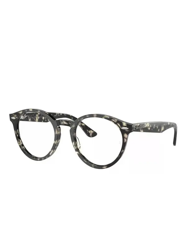Ray-ban Larry Round-frame Glasses