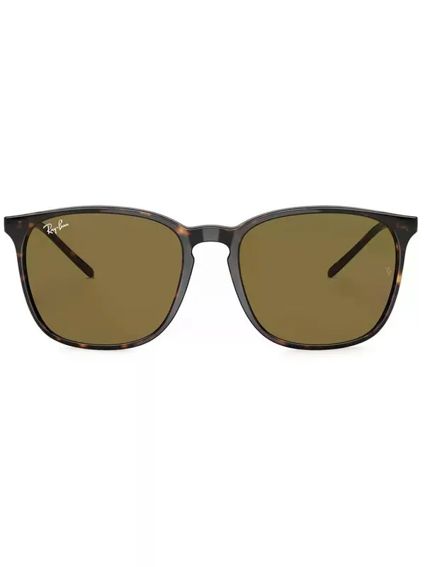 Ray-ban Rb4387f Sunglasses - Brown