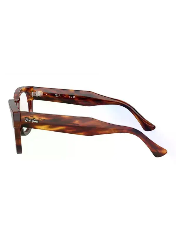 Ray-ban Hawkeye Round-frame Glasses