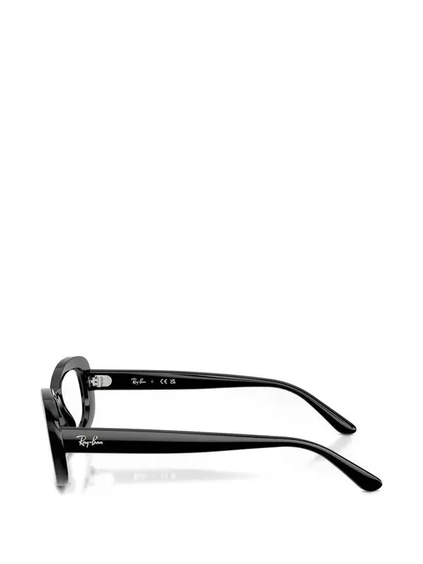 Ray-ban Oval-frame Glasses