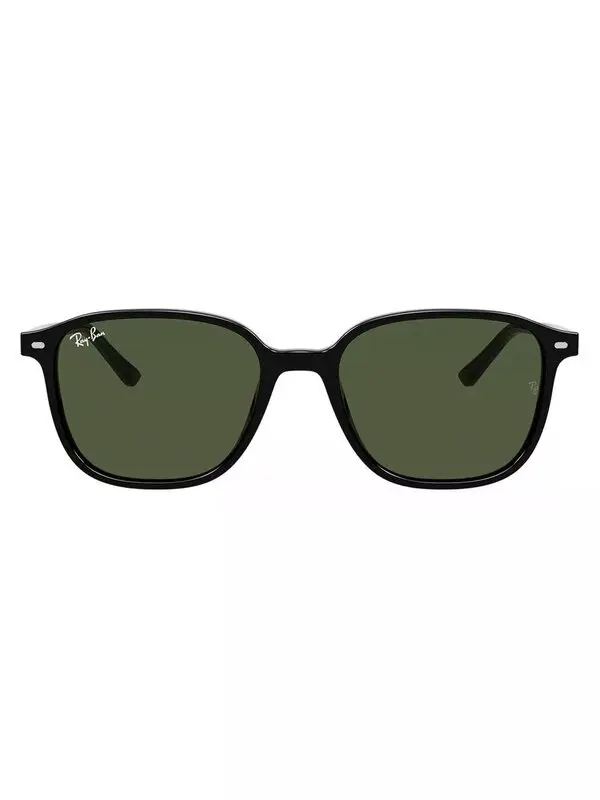 Ray-ban Leonard Sunglasses