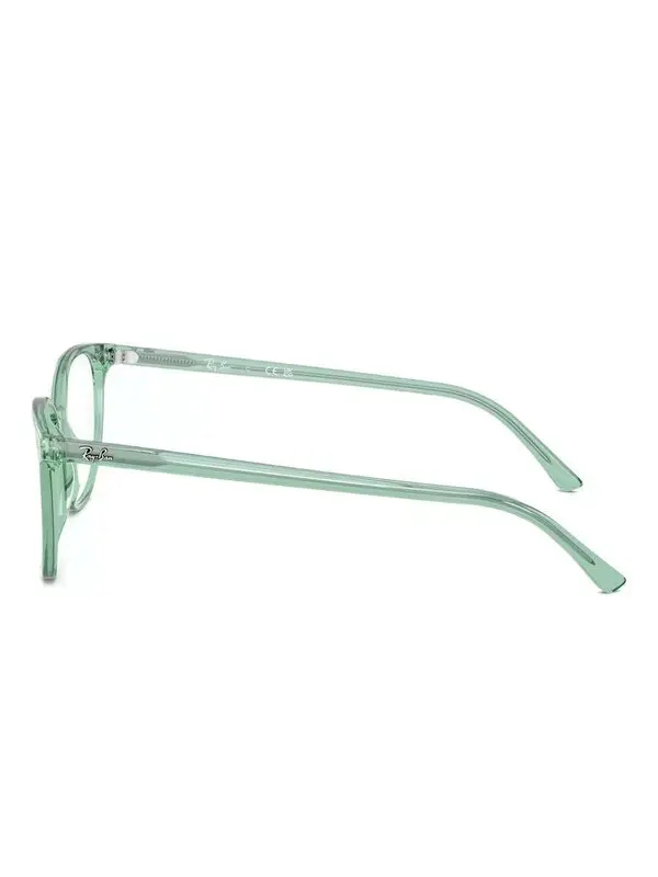 Ray-ban Elliot Glasses