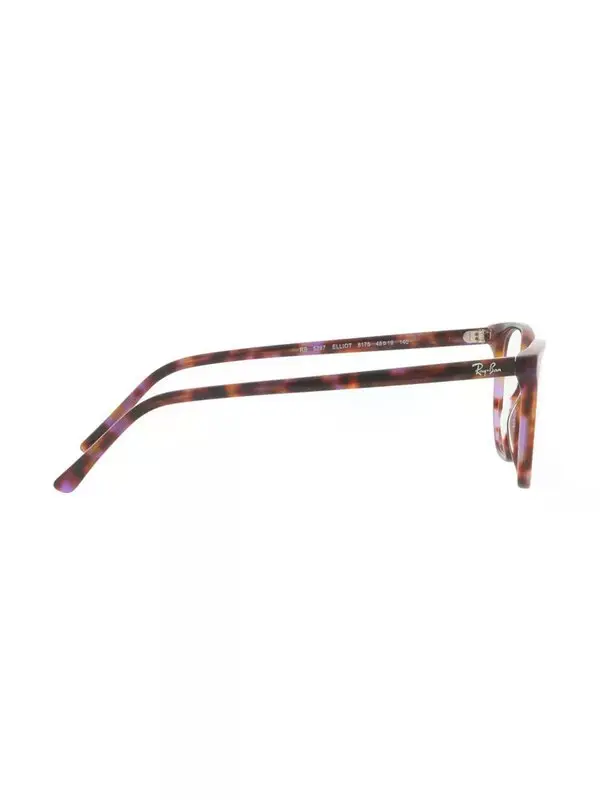 Ray-ban Elliot Glasses