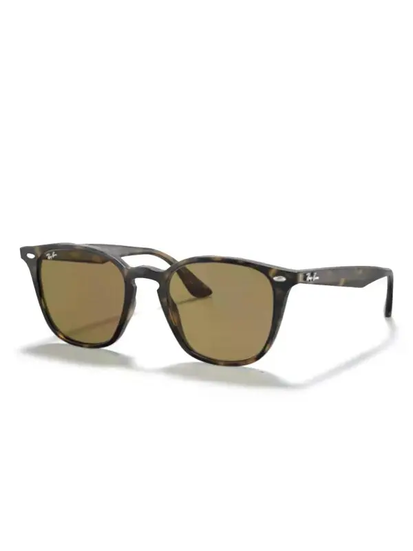 Ray-ban 4258 Sole 710/73 - Brown