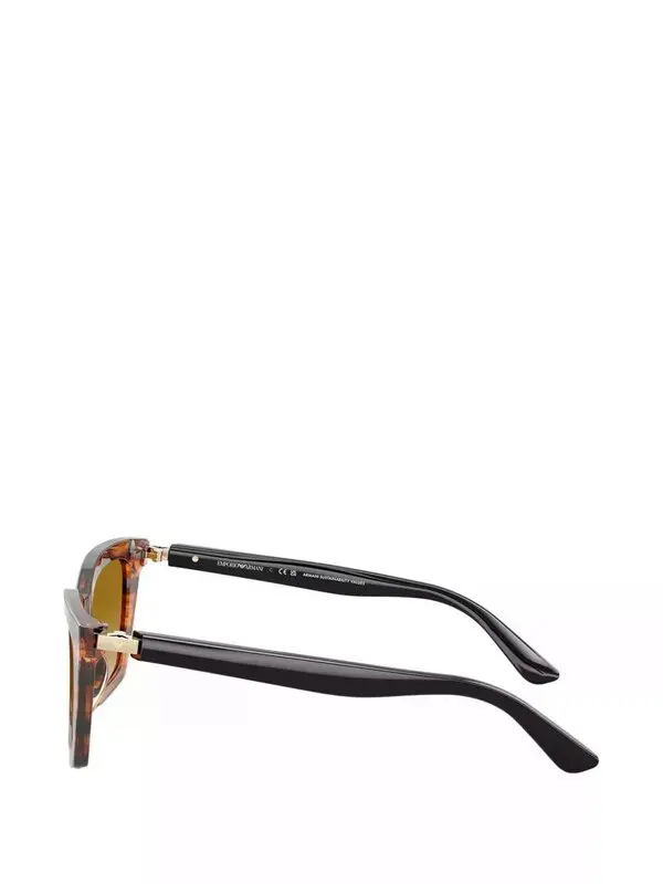 Emporio Armani Striped Cat-eye Sunglasses