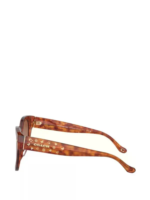 COACH Tortoiseshell-effect Cat-eye Sunglasses