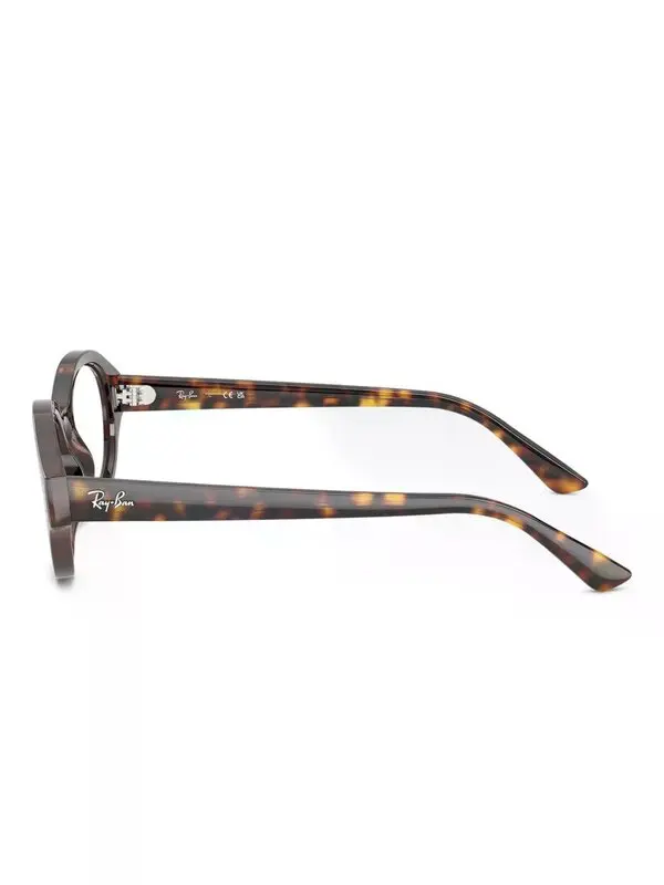 Ray-ban Shilo Glasses