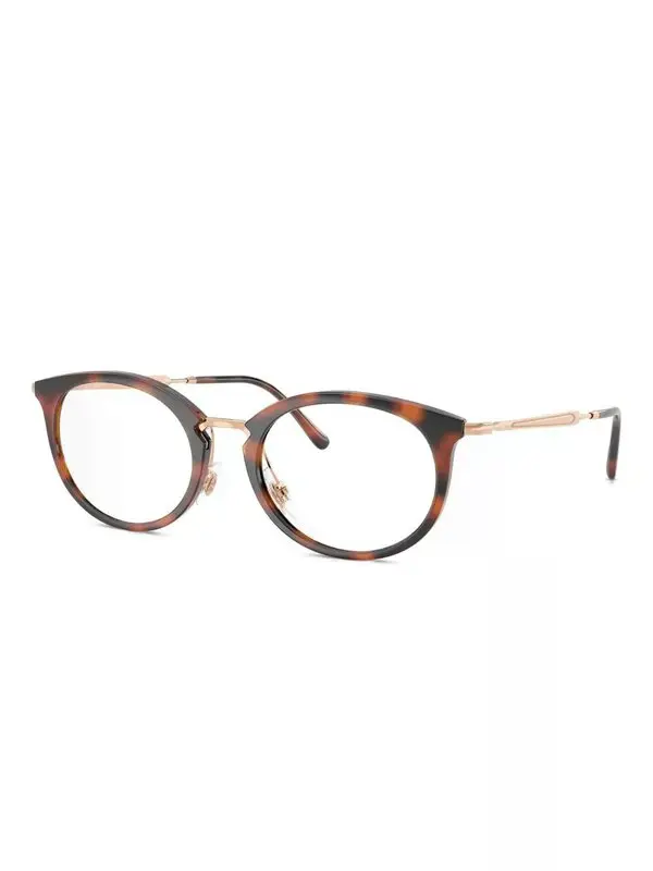 Ray-ban Tortoiseshell-effect Glasses
