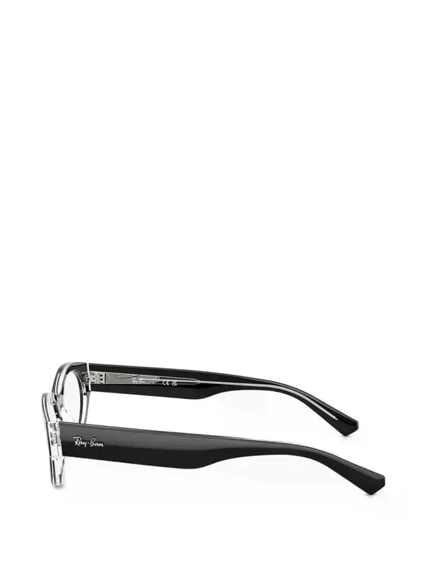 Ray-ban Oval-frame Glasses