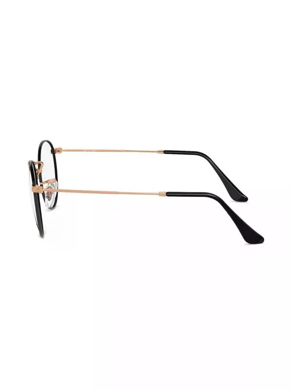 Ray-ban Round-frame Glasses
