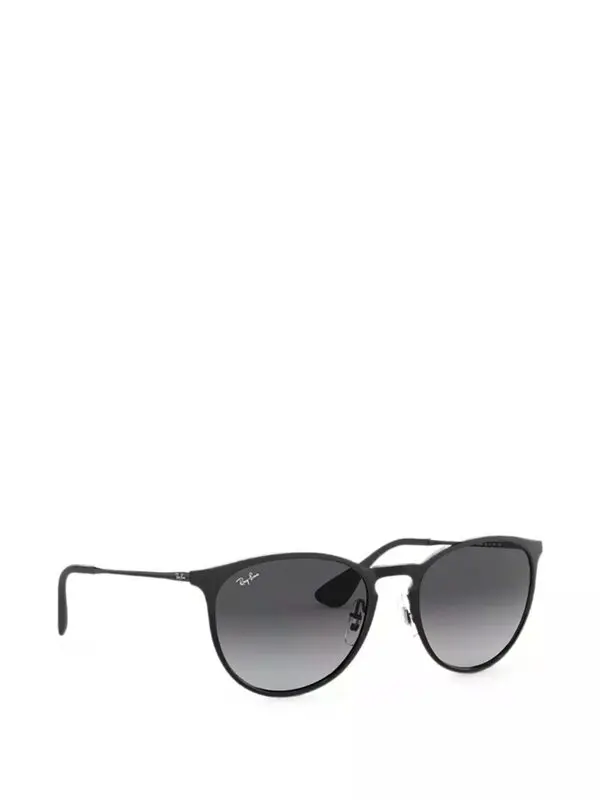Ray-ban Erika Round-frame Sunglasses
