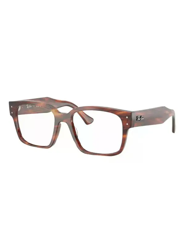 Ray-ban Laurene Glasses