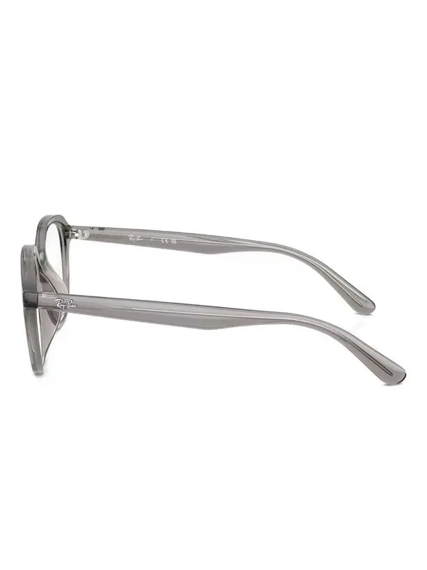 Ray-ban Round-frame Glasses