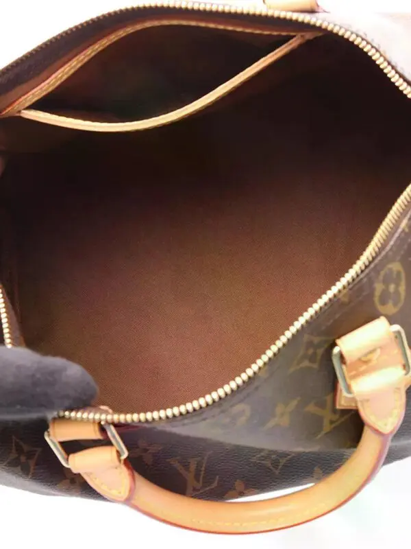 LOUIS VUITTON 2009 Monogram Speedy 30 Boston Bag