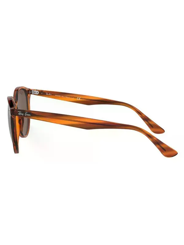 Ray-ban Rb4305 Phantos-shape Sunglasses