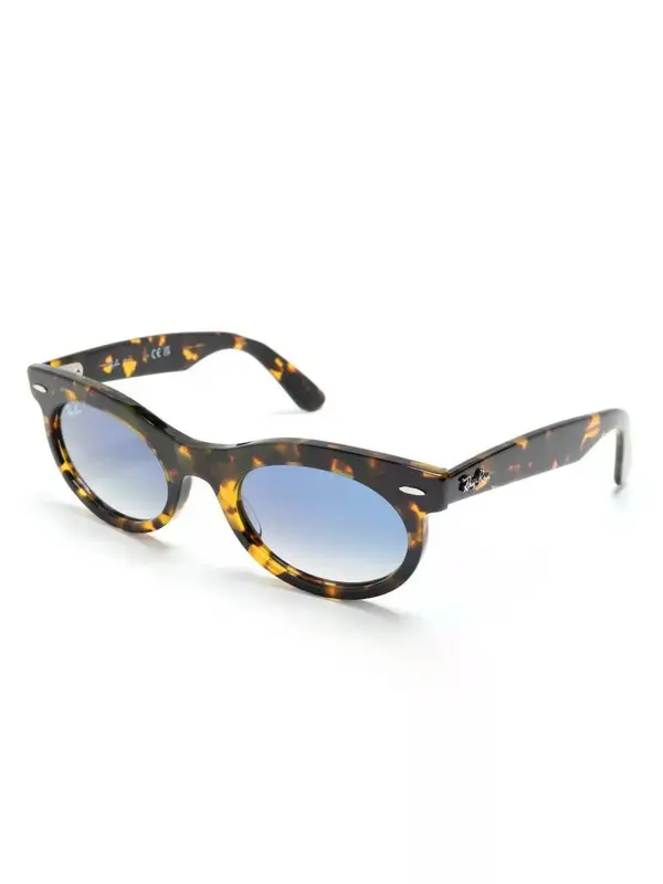 Ray-ban Wayfarer Oval-frame Sunglasses