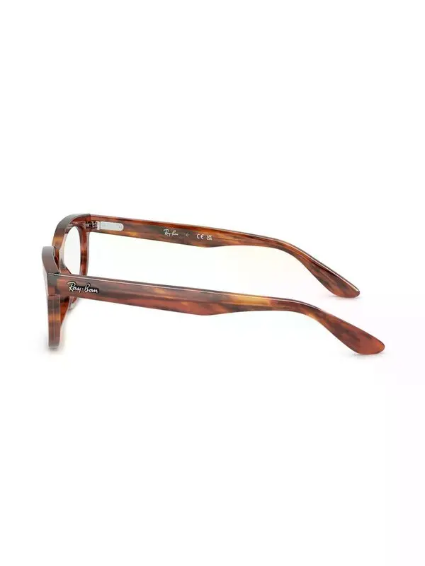 Ray-ban Tortoiseshell Eyeglasses - Brown