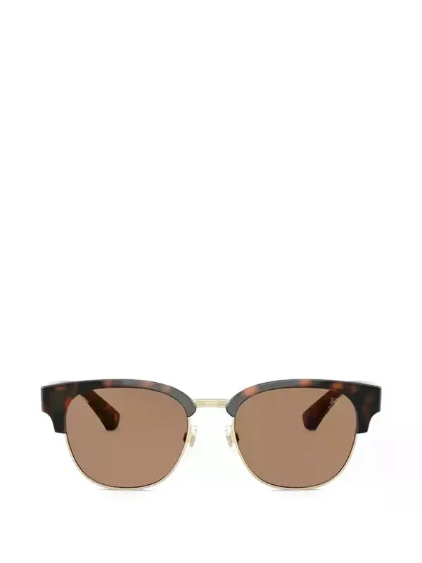 Burberry Havana Browline Sunglasses