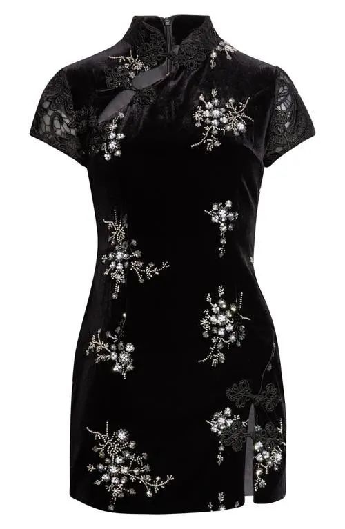 KIM SHUI Haylee Beaded Lace Trim Velvet Qipao Minidress - Black