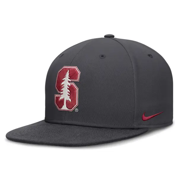 Nike Stanford Pro Dri-fit College Fitted Hat