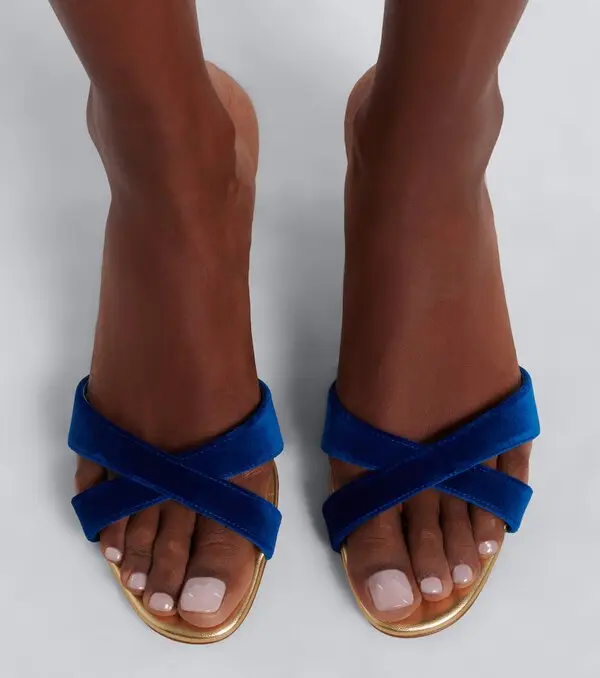 Manolo Blahnik Callydramu Velvet Mules