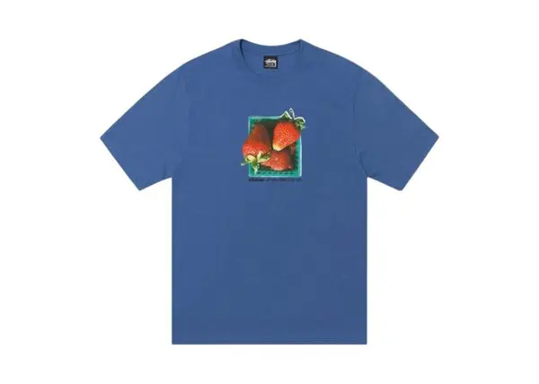 StÜssy Berries T-shirt