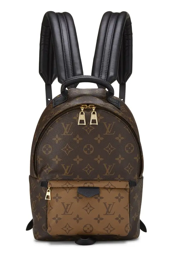 LOUIS VUITTON Monogram Reversed Canvas Palm Springs - Brown