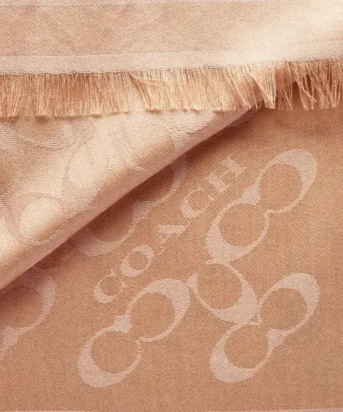 COACH Scarf