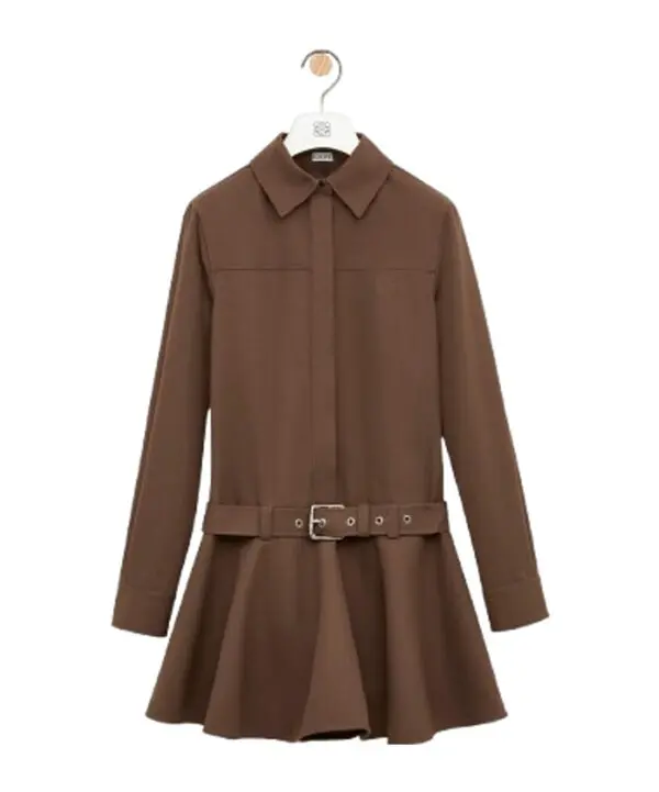 Loewe Dress In Cotton - Brown