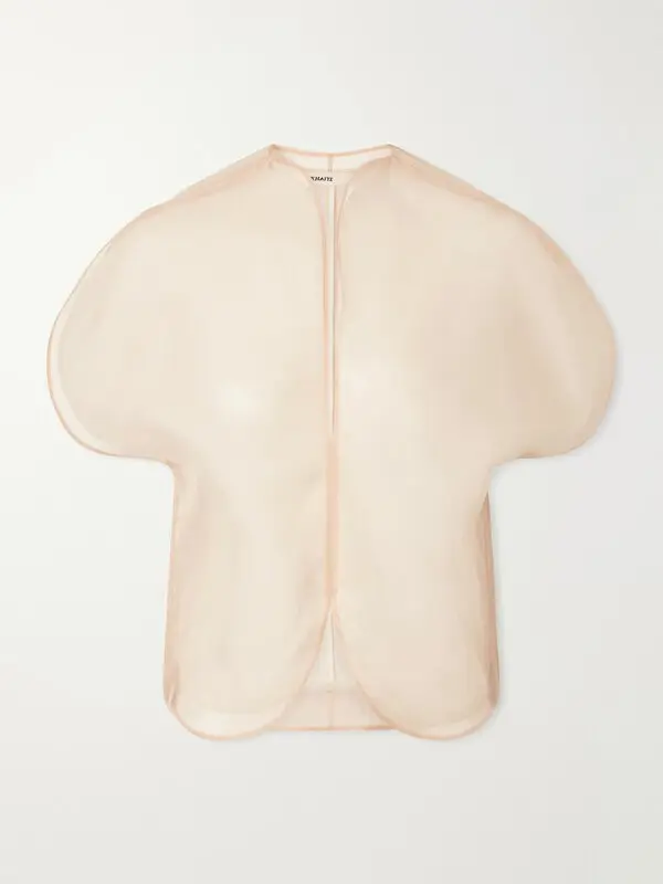 Khaite Briar Silk-organza Blouse - Neutrals