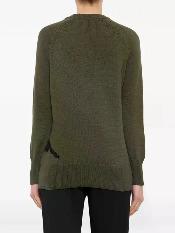 Kenzo Crew Neck Raglan Sleeve Sweater - Green