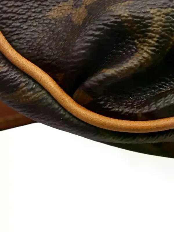 LOUIS VUITTON 2006 Monogram Tulum Gm Bag