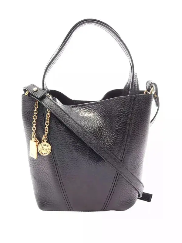 Chloé 2000-2026 Small Grained Calfskin Spin Satchel