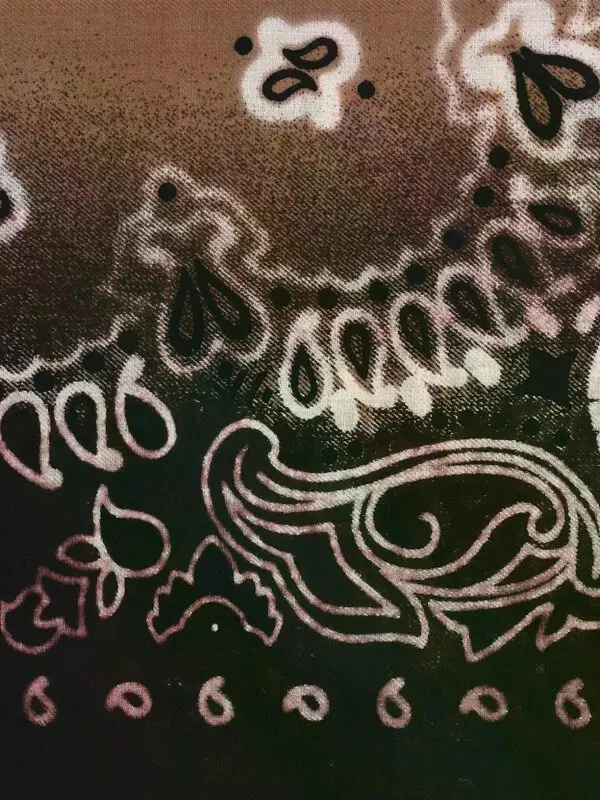 Destin Paisley-print Scarf