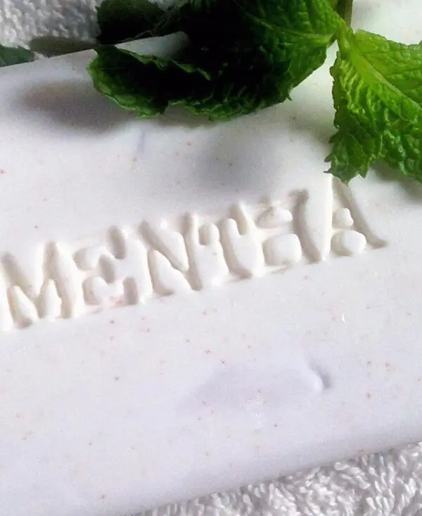 C.O. BIGELOW Mentha Exfoliating Bar Soap