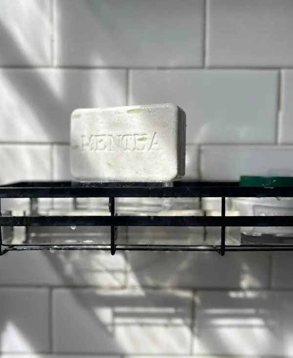 C.O. BIGELOW Mentha Exfoliating Bar Soap