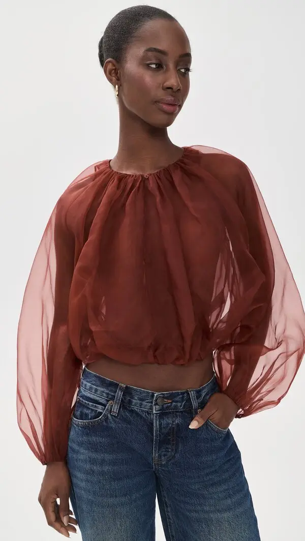 FRAME The Sheer Balloon Blouse