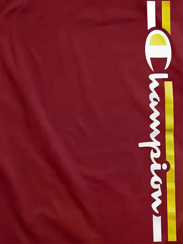 Champion Logo-print Vertical-stripe T-shirt