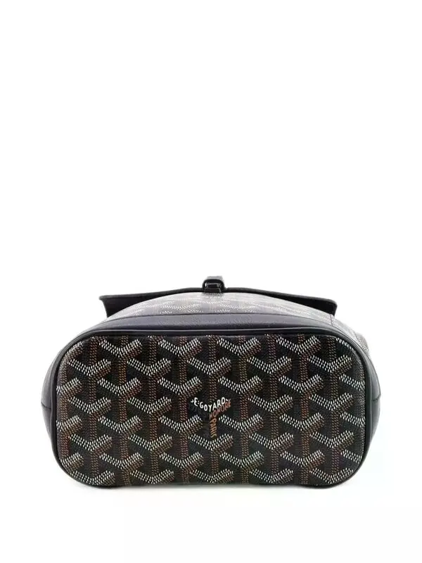 Goyard Alpin Coated Canvas Mini Backpack