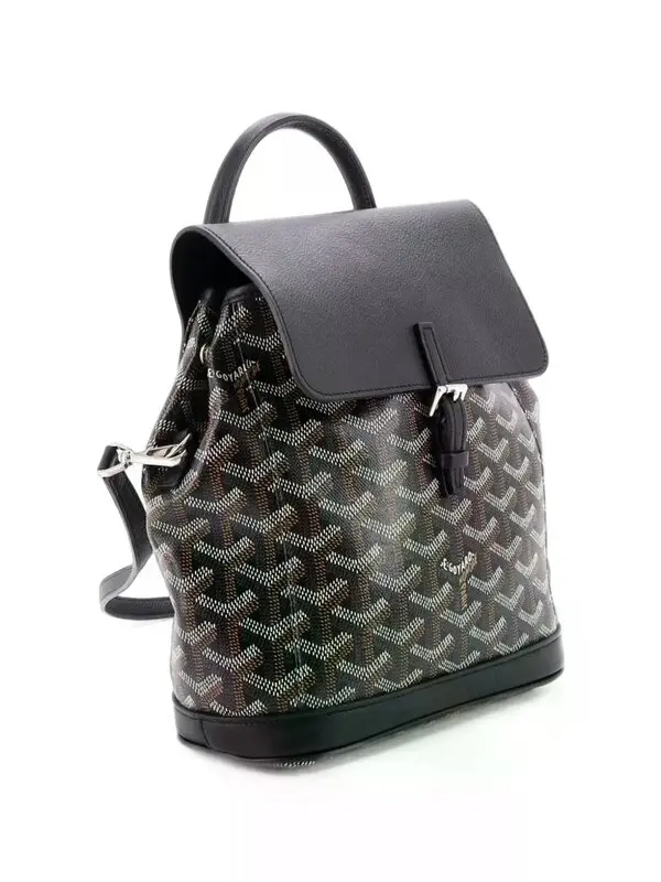 Goyard Alpin Coated Canvas Mini Backpack