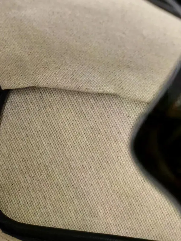 Goyard Alpin Coated Canvas Mini Backpack