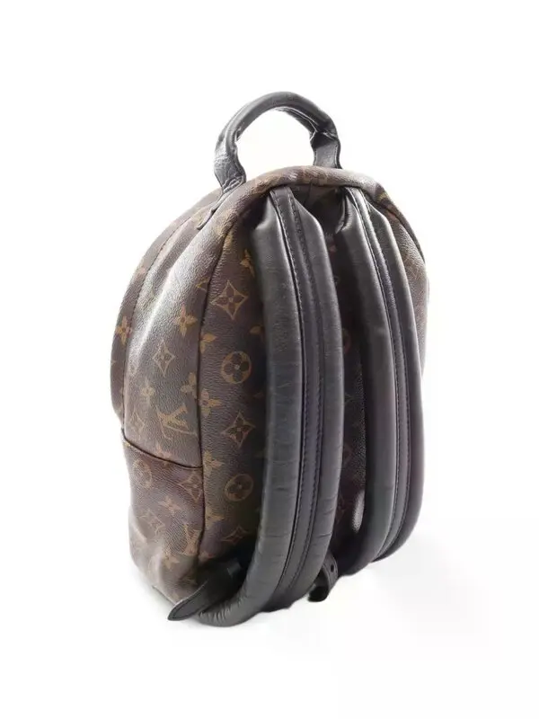 LOUIS VUITTON Palm Springs Monogram Backpack - Brown
