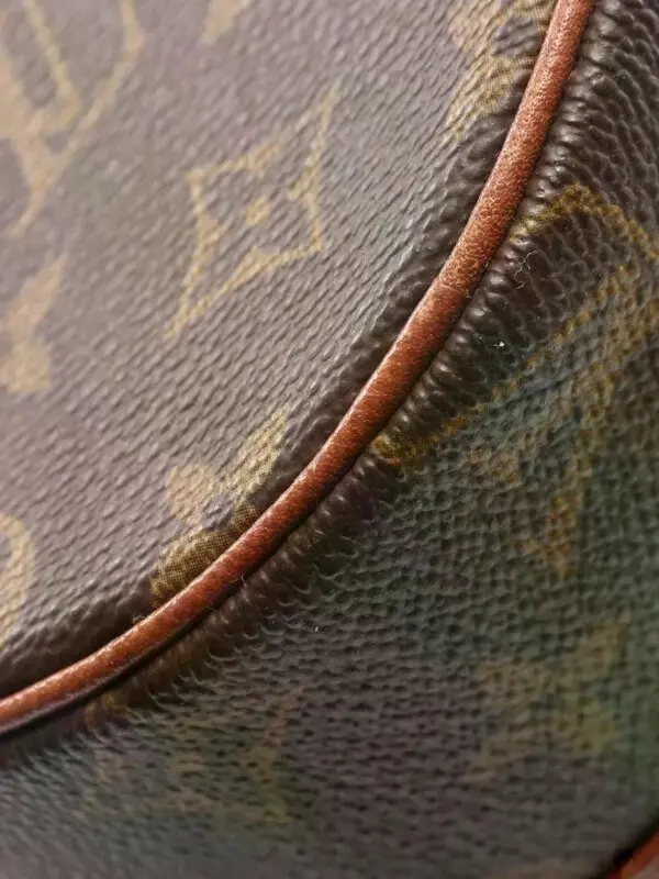 LOUIS VUITTON Papillon Monogram Tote Bag