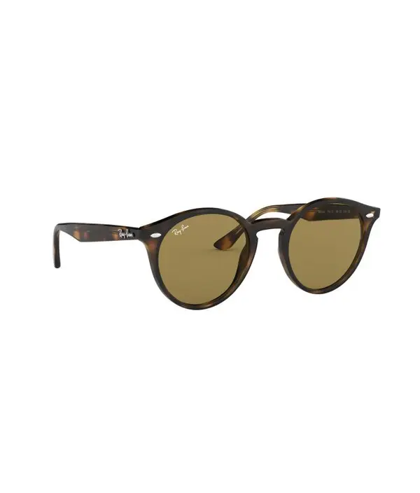 Ray-ban Round Frame Sunglasses - Brown