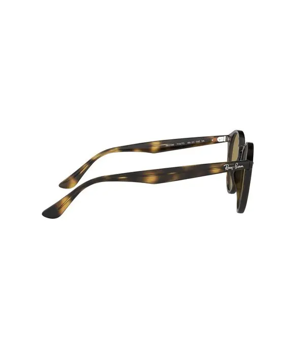 Ray-ban Round Frame Sunglasses - Brown