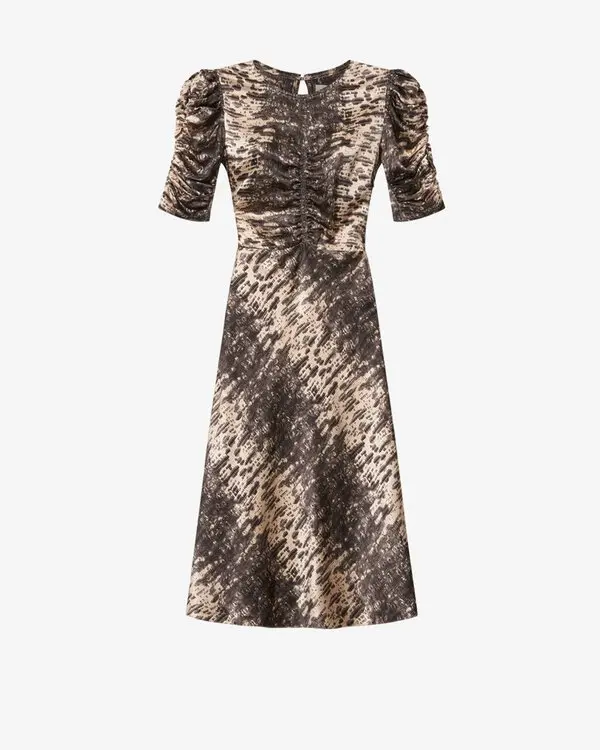 Isabel Marant Étoile Lemila Silk Python Print Knee-length Dress