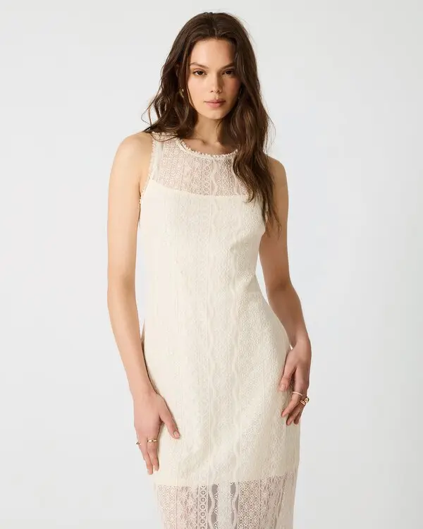 Steve Madden Nyssa Dress Sleeveless Mesh Dresses