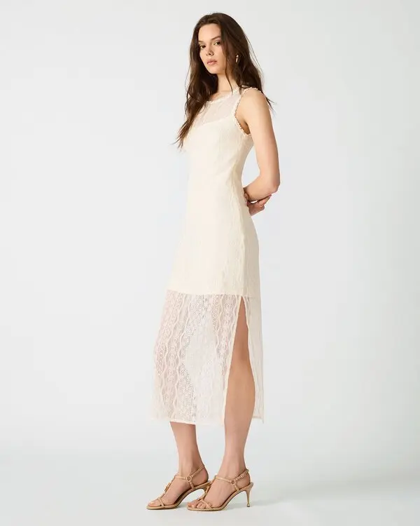 Steve Madden Nyssa Dress Sleeveless Mesh Dresses