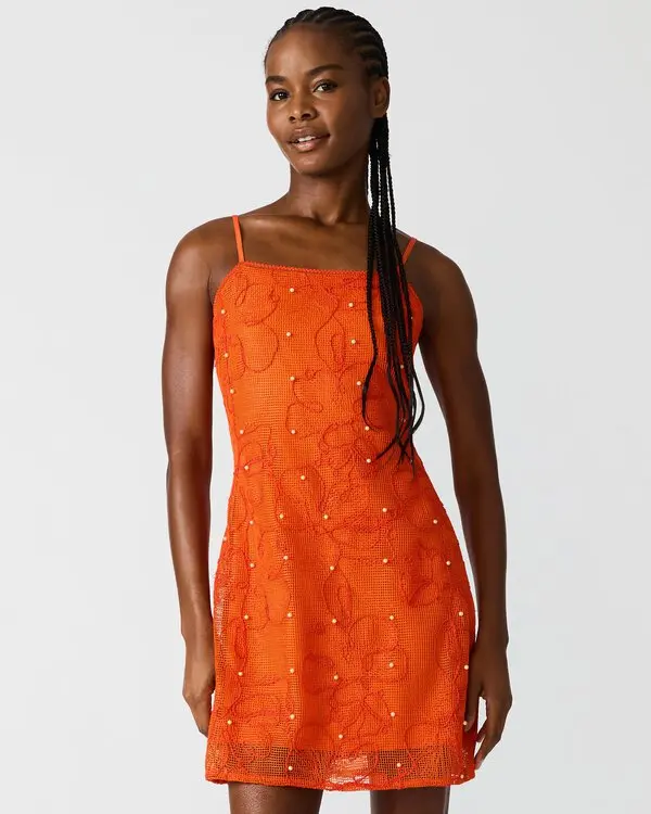 Steve Madden Maureene Dress Sleeveless Mesh Dresses