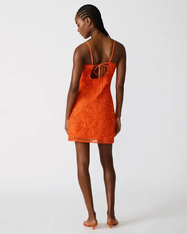 Steve Madden Maureene Dress Sleeveless Mesh Dresses
